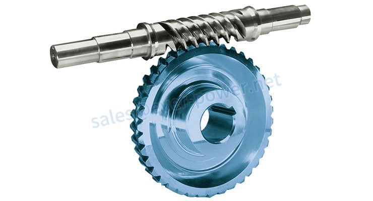 China Self Locking Worm Gear Manufacturer, Supplier, Factory - Ever-Power Industry