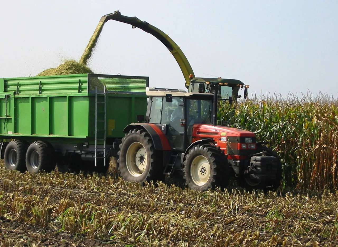 PTO Corn Silage Harvester for Different Corn Varieties - Blog of EVER-POWER