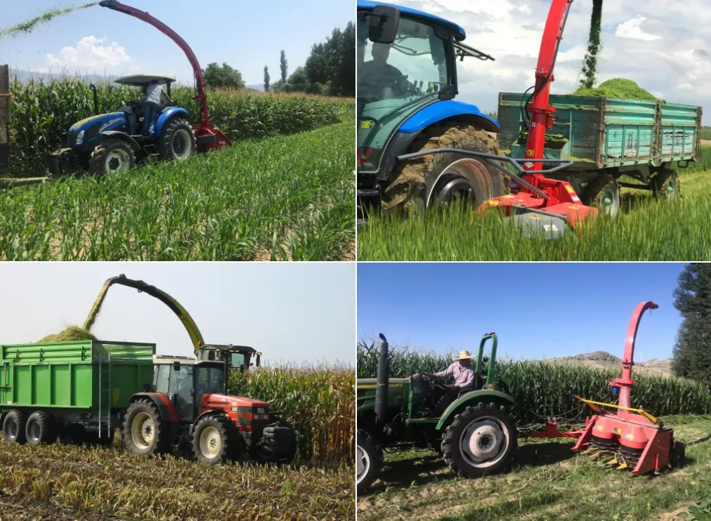 PTO Corn Silage Harvester for Different Corn Varieties - Blog of EVER-POWER