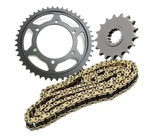 Cycle chain sprocket store