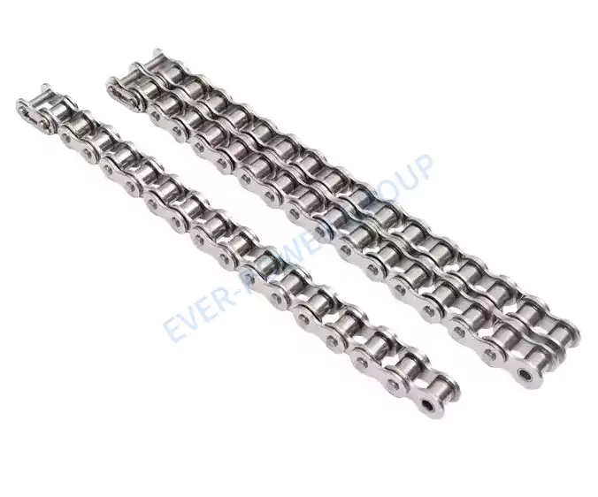 China SS20AH-1/SS100H-1 Heavy Duty Series Stainless Steel Roller Chains ...